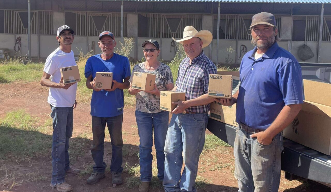 Home - The Melaleuca Foundation